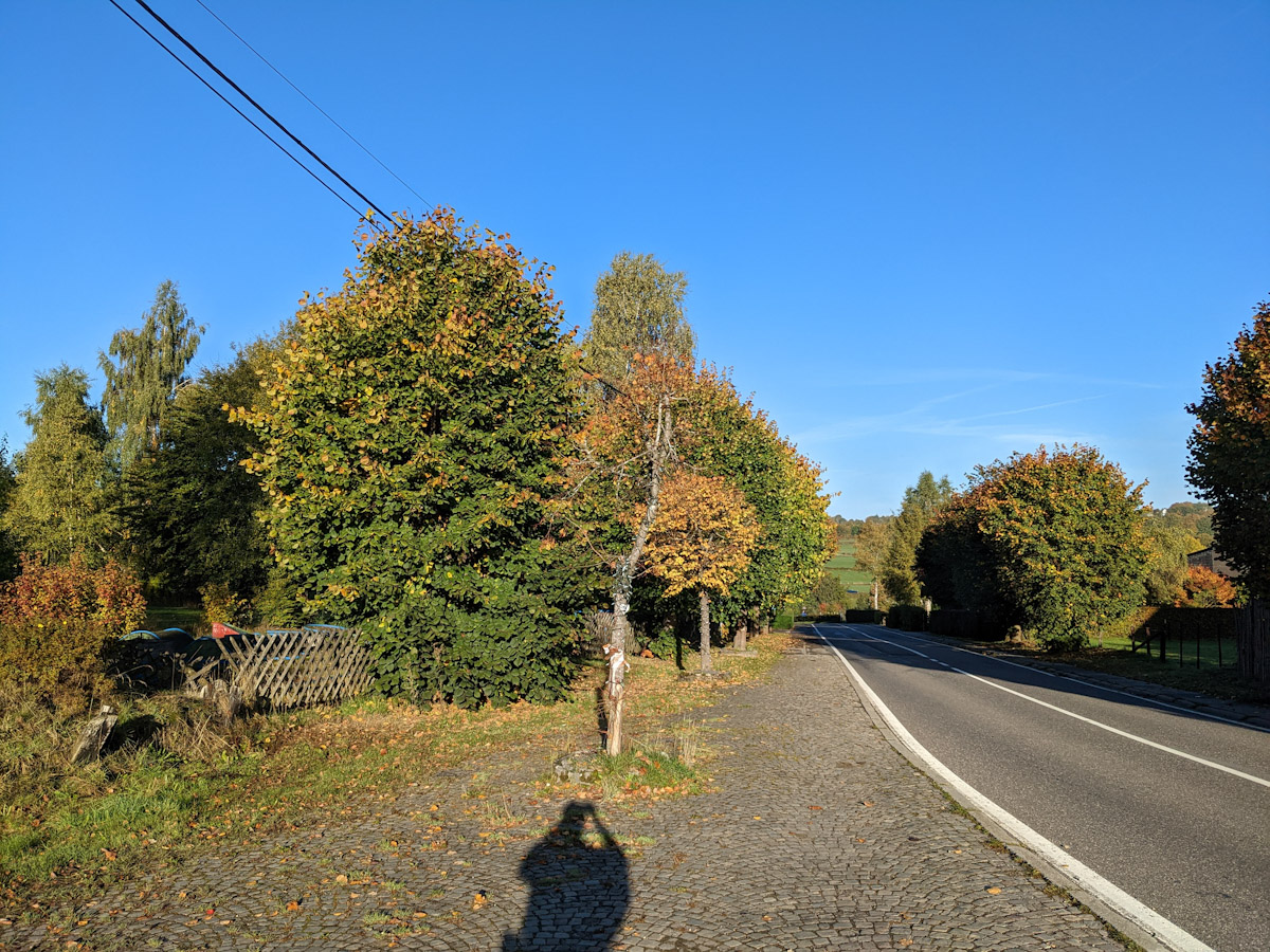 Hiking Vallée de la Warche – BabyPenguin